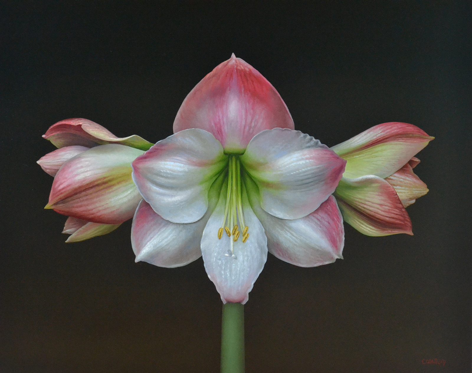 Fine Art Gallery - Corning, NY | West End Gallery