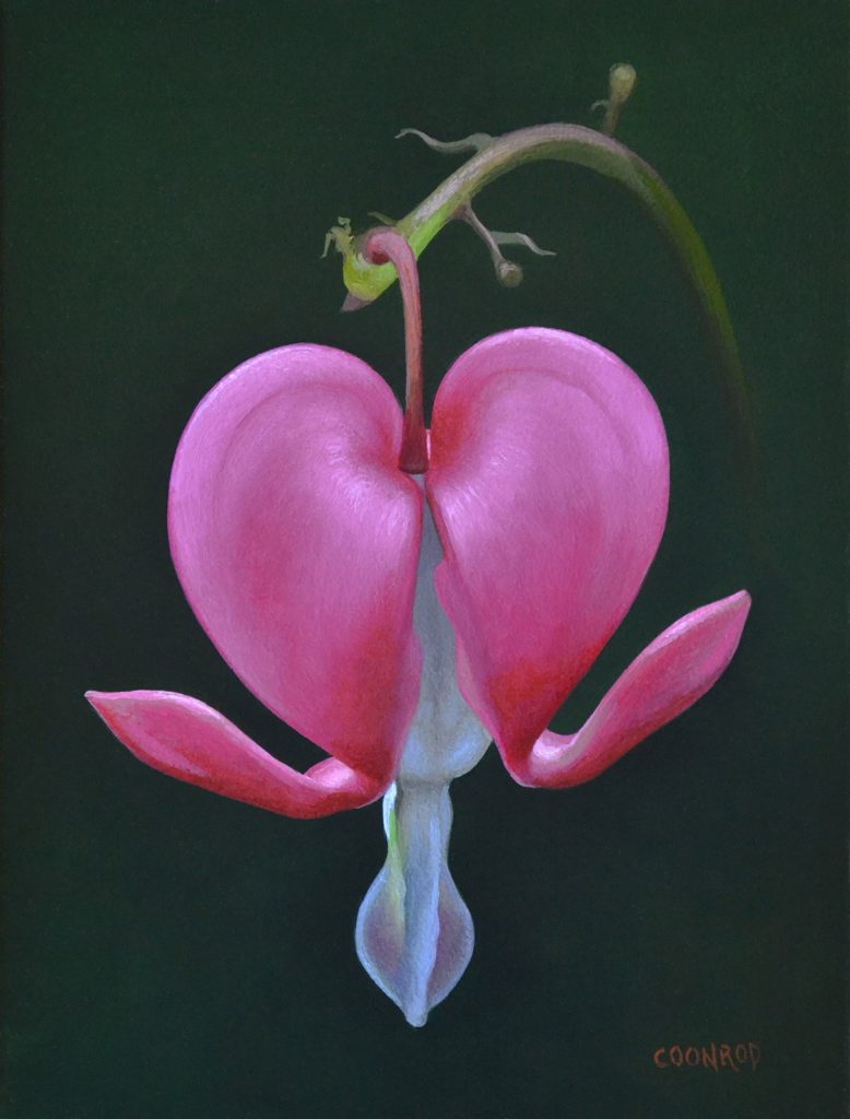 2023 Fall Spotlight: Trish Coonrod | West End Gallery