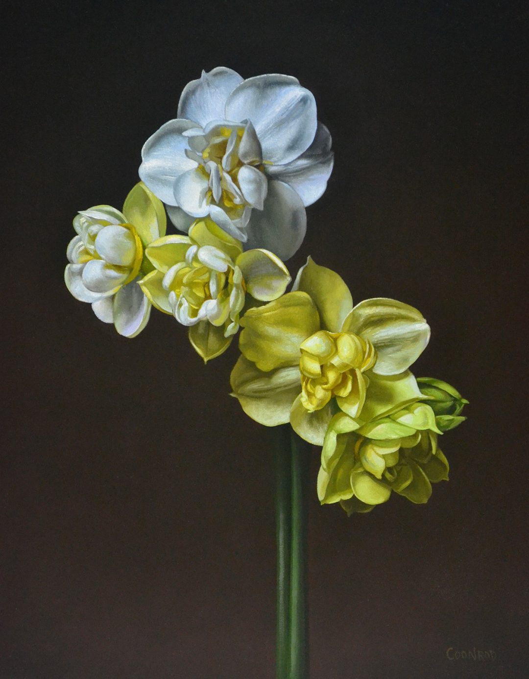 2023 Fall Spotlight: Trish Coonrod | West End Gallery