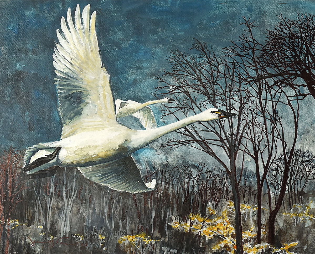 2023 Spring Spotlight: Jennifer Fais | West End Gallery