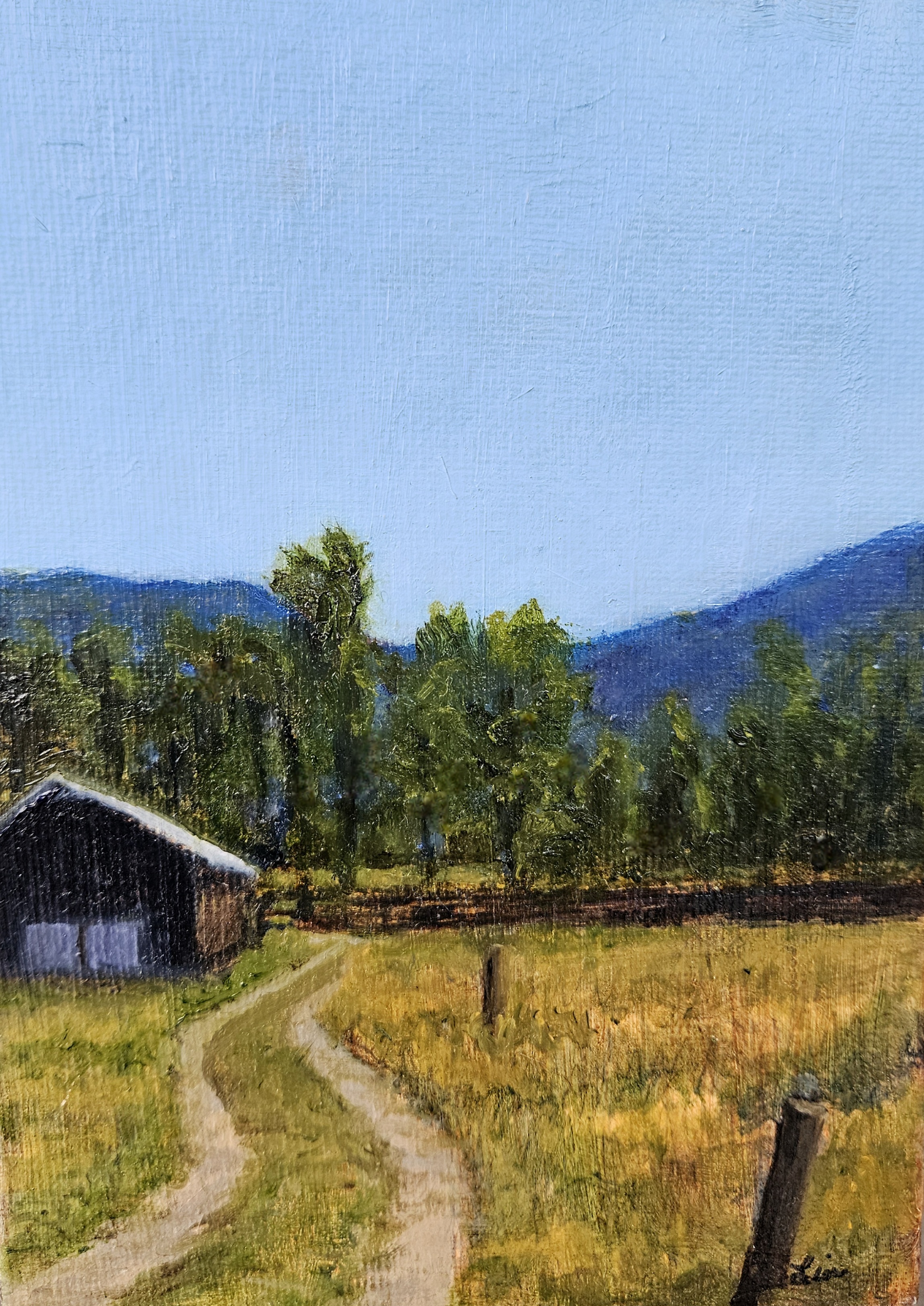 Lin Gardner | West End Gallery