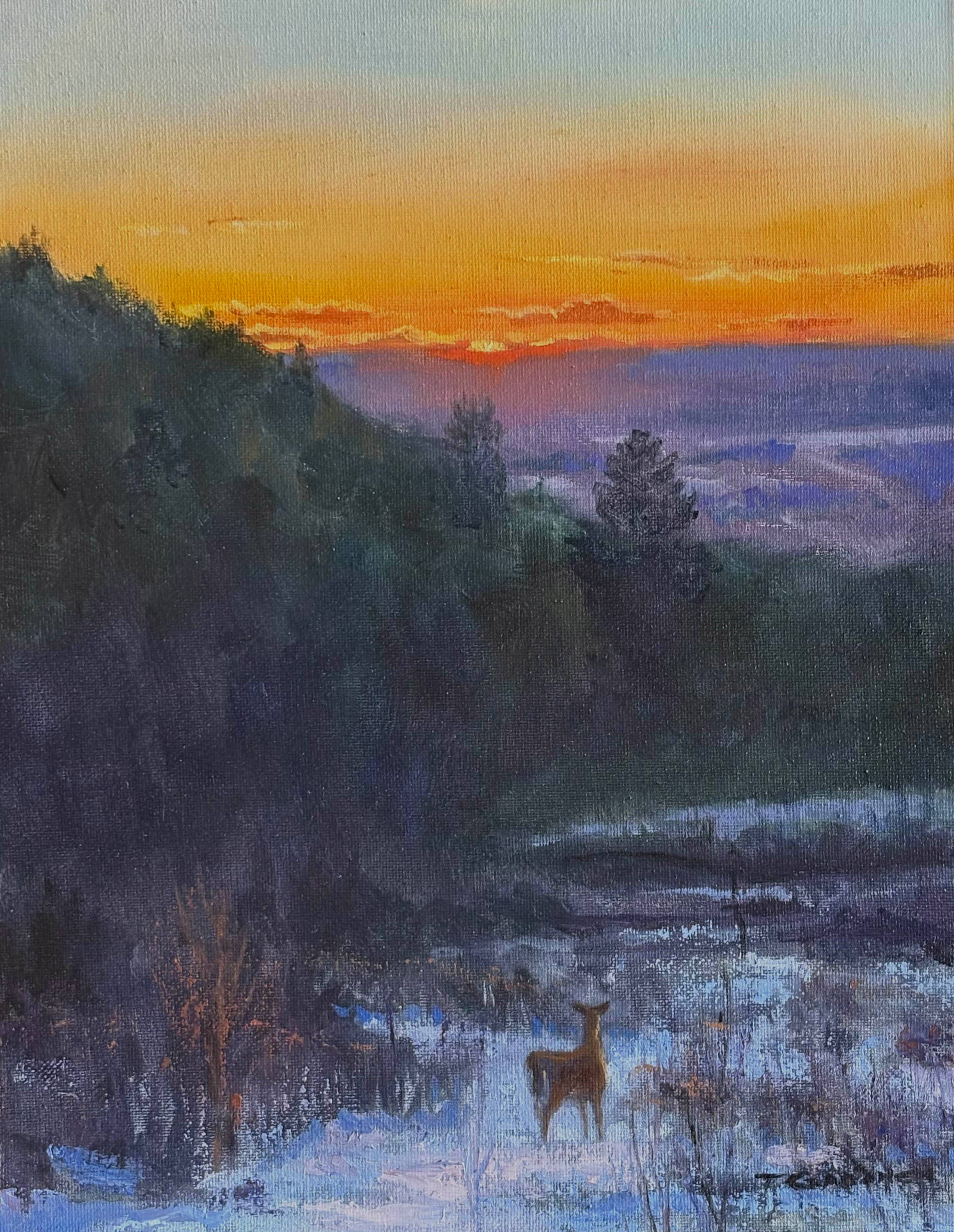 2025 Summer Feature: Tom Gardner | West End Gallery