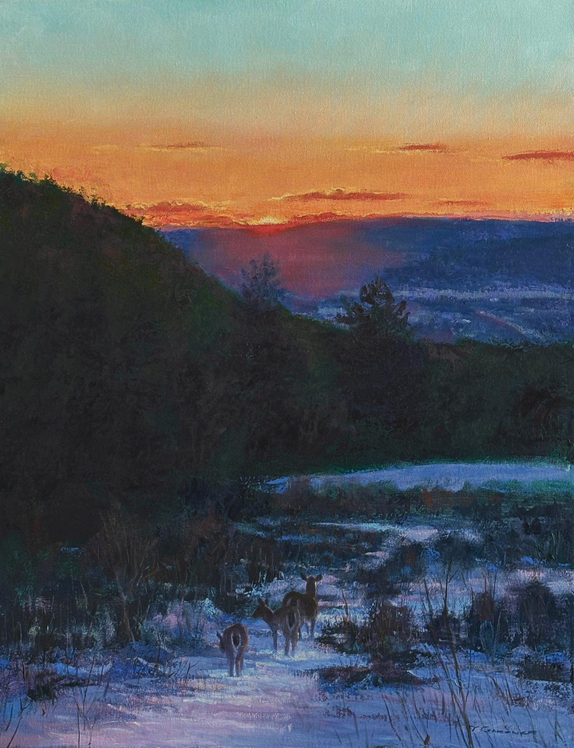 2025 Summer Feature: Tom Gardner | West End Gallery