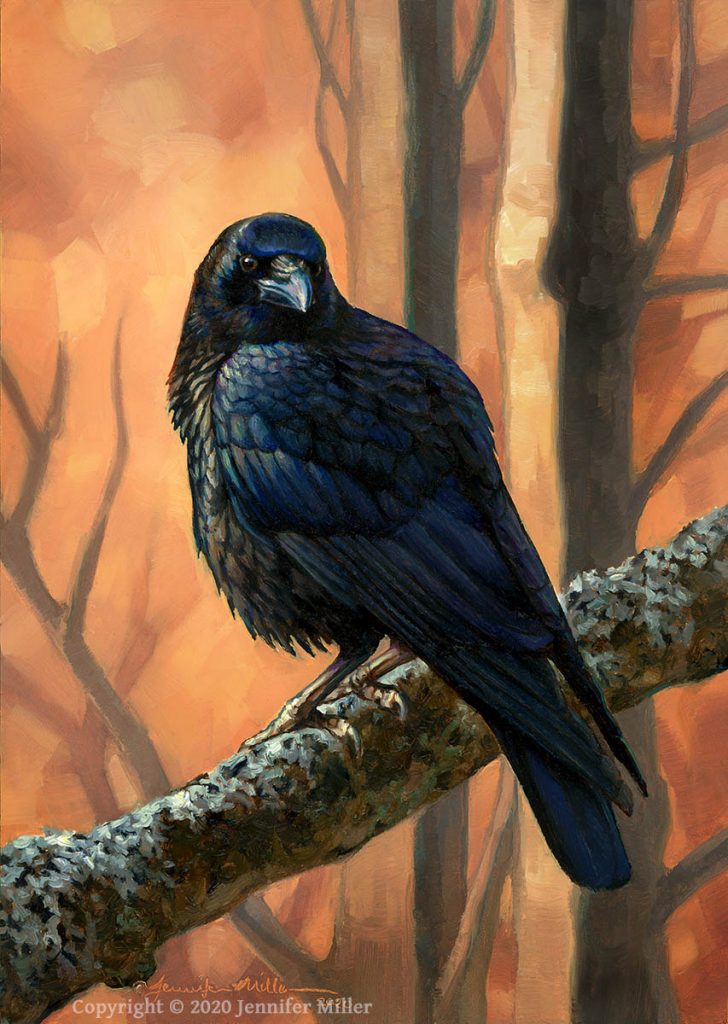 2020 Spotlight: Jennifer Miller | West End Gallery