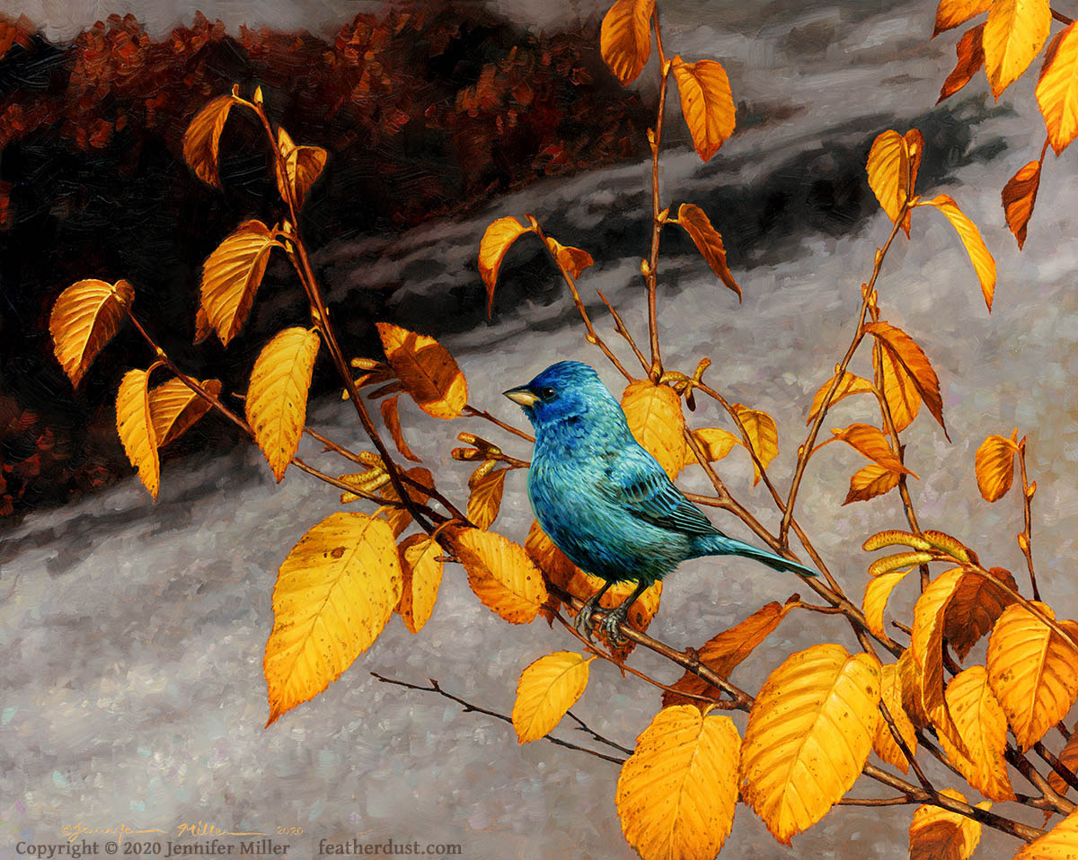 MillerEverReturnIndigoBunting | West End Gallery