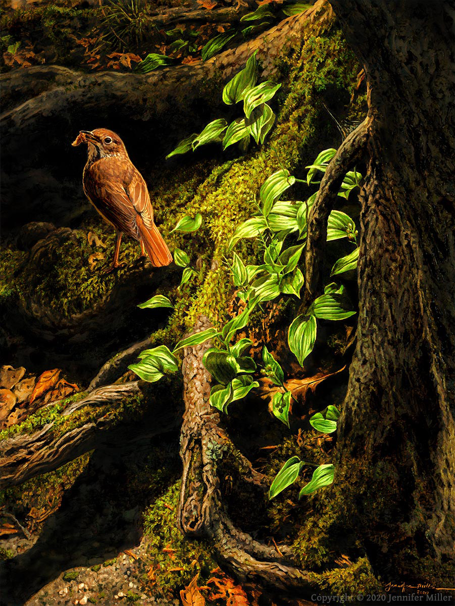 2020 Spotlight: Jennifer Miller | West End Gallery