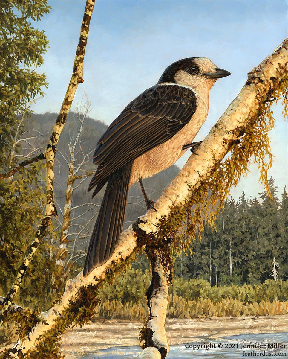 Jennifer Miller | West End Gallery