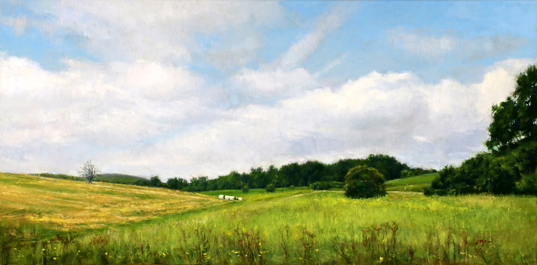 2024 Summer Feature: Wilson Ong