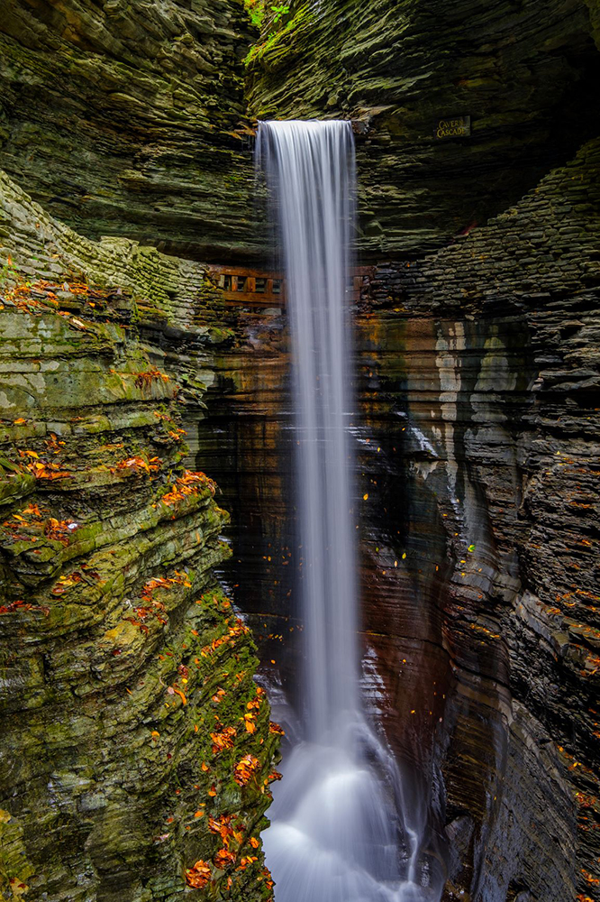 Chris Walters | West End Gallery