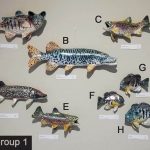 Alan and Rosemary Bennett | West End Gallery